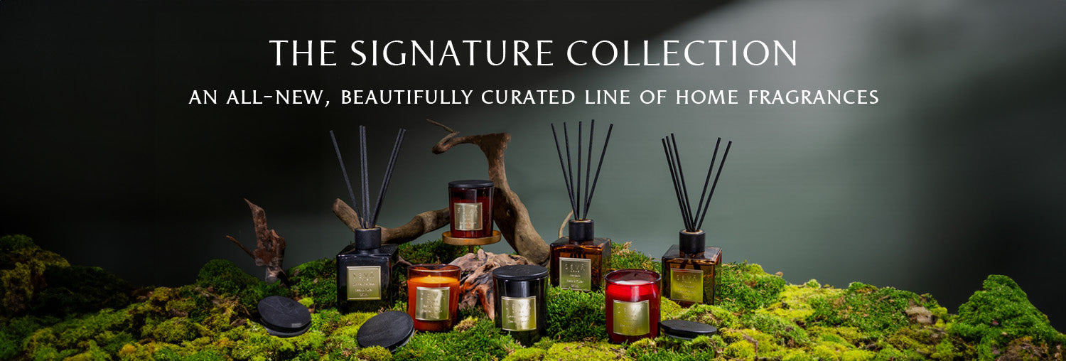 The Signature Collection – Seva Home