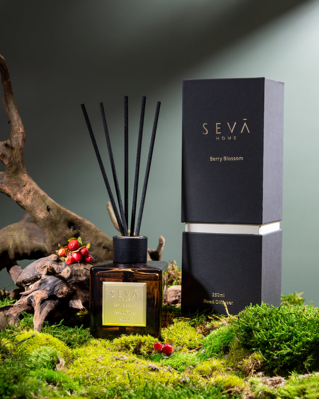 The Signature Collection – Seva Home