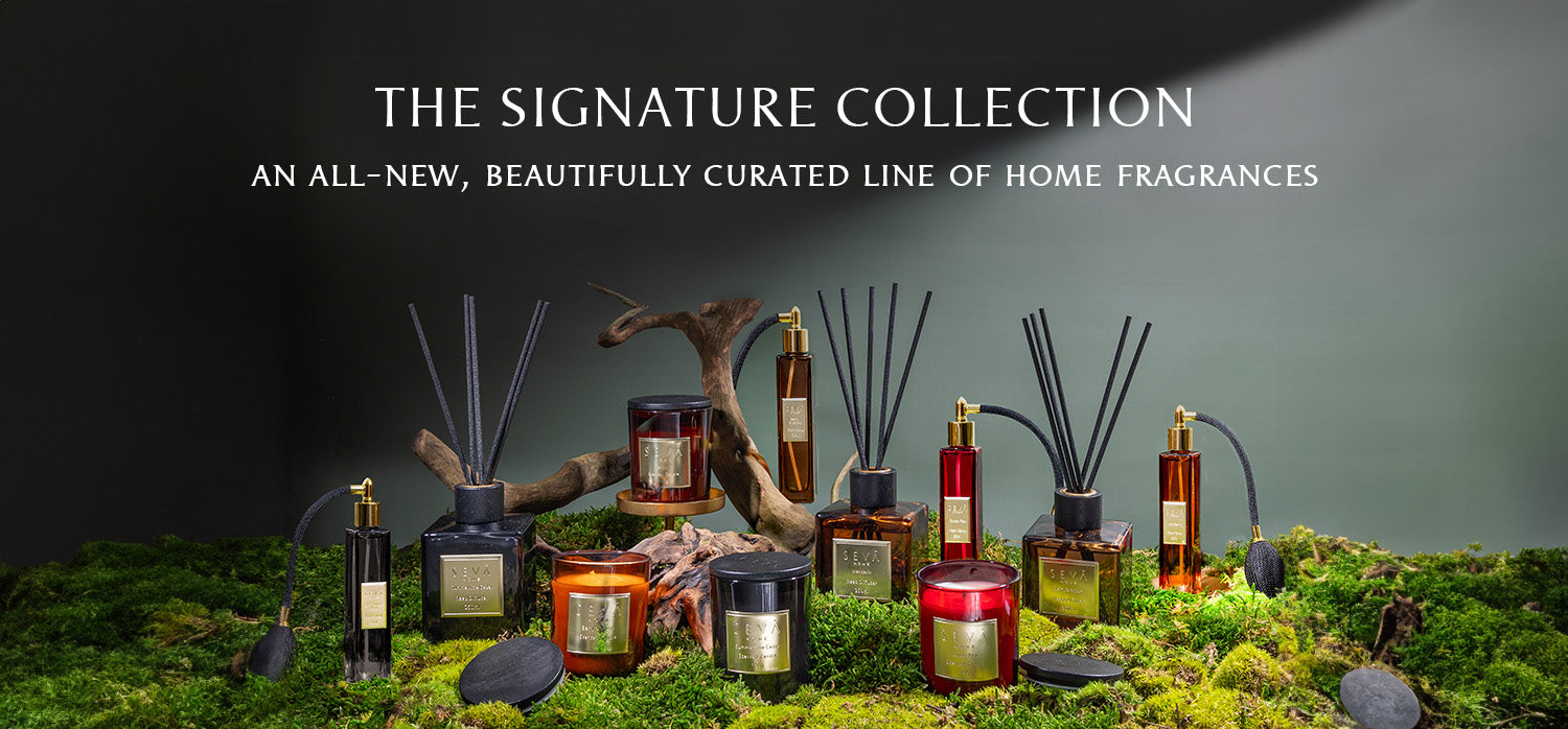 Buy Home Fragrances: Candles, Diffusers & More | Seva Home