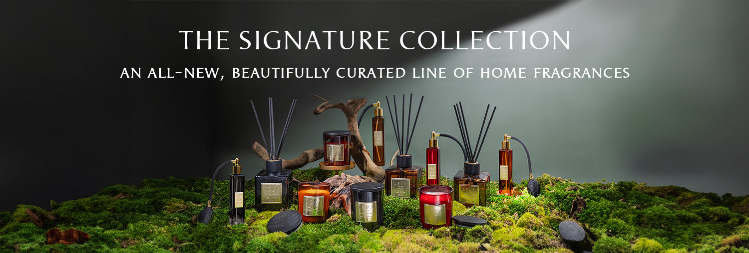 The Signature Collection – Seva Home