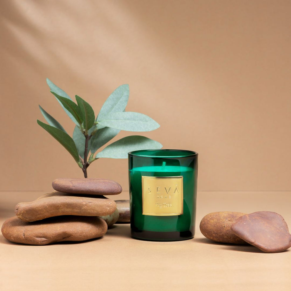 Signature Scented Candle - Fig Tree - Classic – Seva Home