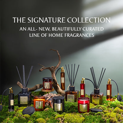 Buy Home Fragrances: Candles, Diffusers & More | Seva Home